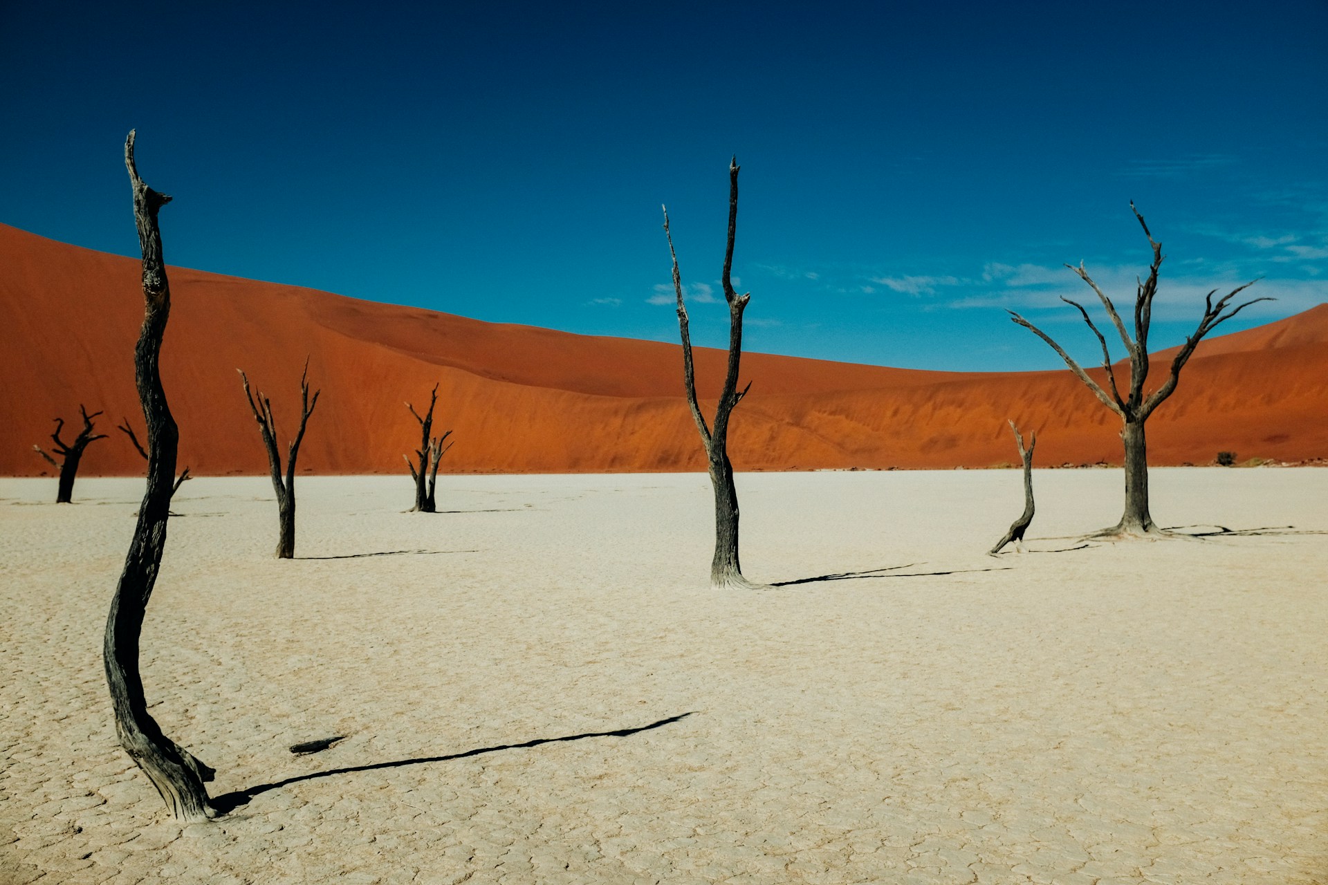 10-Day Namibia Guided Safari | Etosha & Sossusvlei
